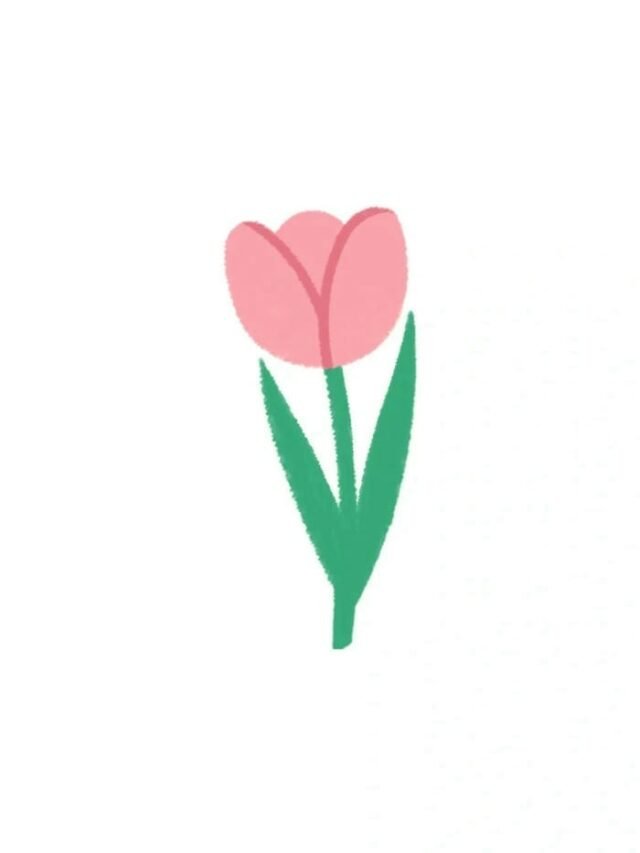 Tổng hợp 101+ hình ảnh hoa tulip chibi đơn giản dễ vẽ cho bé