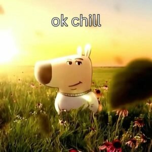Chọn lọc 141+ hình ảnh meme ok đa đạng biểu cảm hài hước